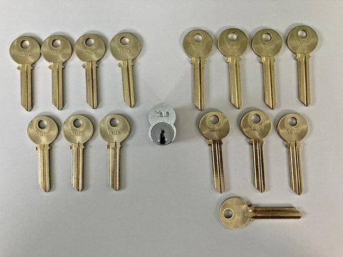 Yale I/C Core GA Keyway New w/ blanks & Control keys | eBay