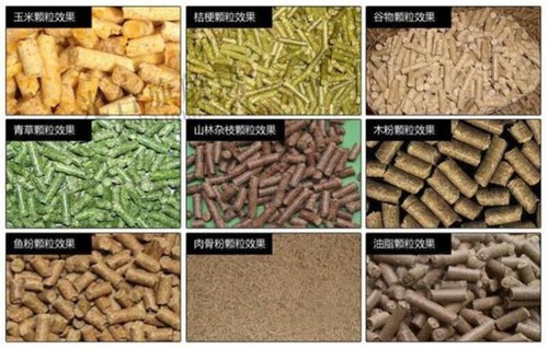 3KW 120 Model Pellet Mill Machine, Feed Pellet Mill Machine Without ...