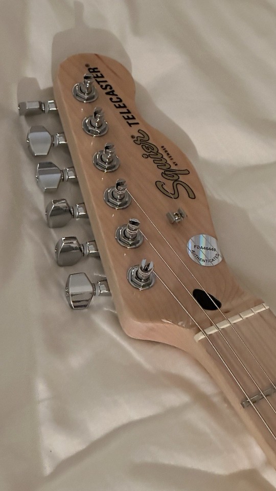 Bruce Springsteen Signed Autograph Fender Telecaster Guitar | eBay