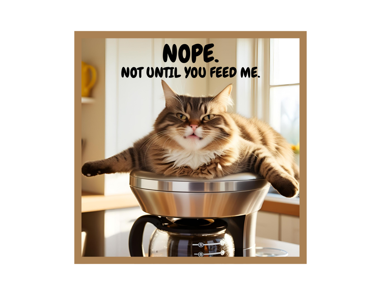 Funny Cute Cat Meme Refrigerator Magnet | eBay