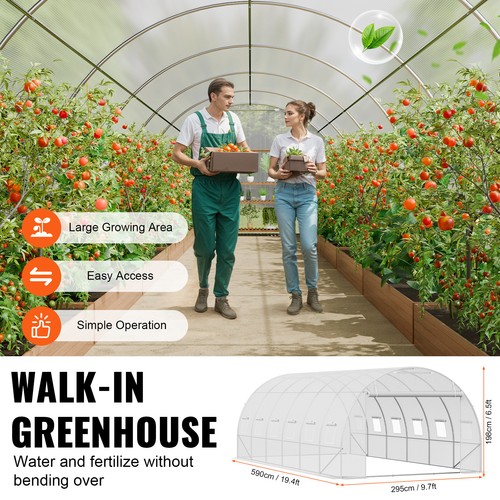 Walk-in Tunnel Greenhouse 19.36x9.68x6.5ft Galvanized Frame PE Cover ...