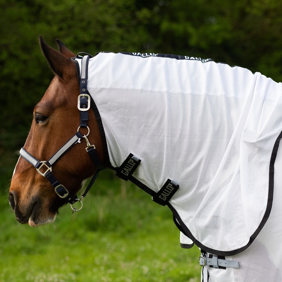 Fly Rug Gallop Horse Pony Combo Mesh Fly Rug or Turnout Fly Rug Full ...