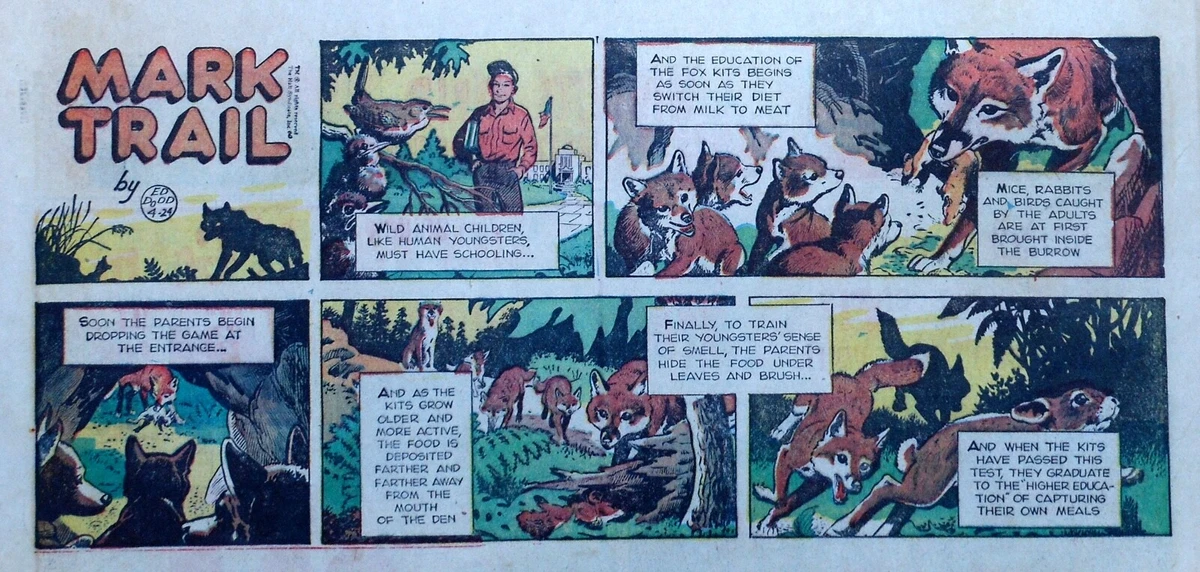 Animated Trail Marks