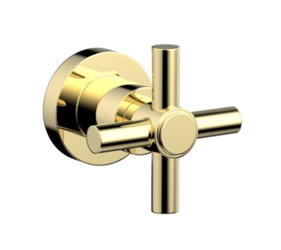 PHYLRICH-BASIC D2PV134A/003 -Volume Control/Diverter Trim- only - Cross ...