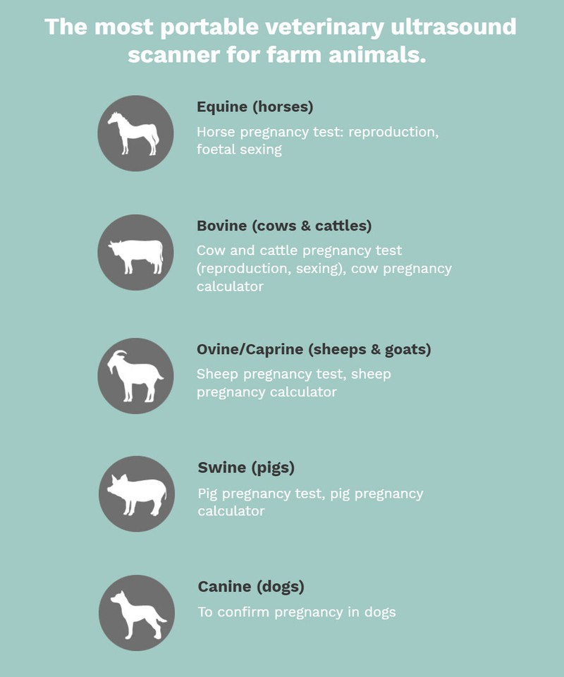 DAWEI Handheld Veterinary Ultrasound Machine Rectal Probe for Horse ...