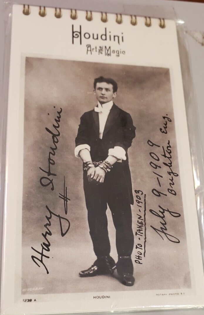 Harry Houdini art Magic Halloween Postcard book | eBay