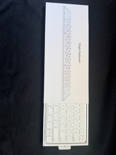 Apple Magic Keyboard (USB–C) Model A2450 | eBay