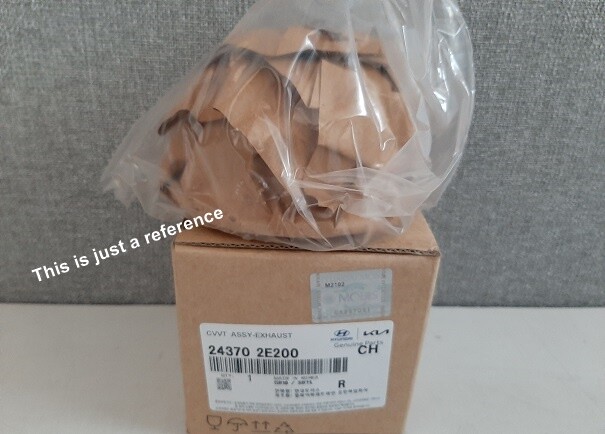 243702E200 OEM GENUINE Camshaft Timing Gear Ass'y For Hyundai Tucson ...