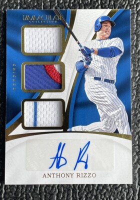 🔥ANTHONY RIZZO 2017 IMMACULATE 6 COLOR GAME USED JERSEY PATCH AUTOGRAPH ...