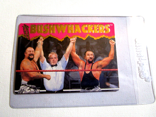 WWF (WWE) - Action Packed 1995 - #20 The Bushwhackers | eBay