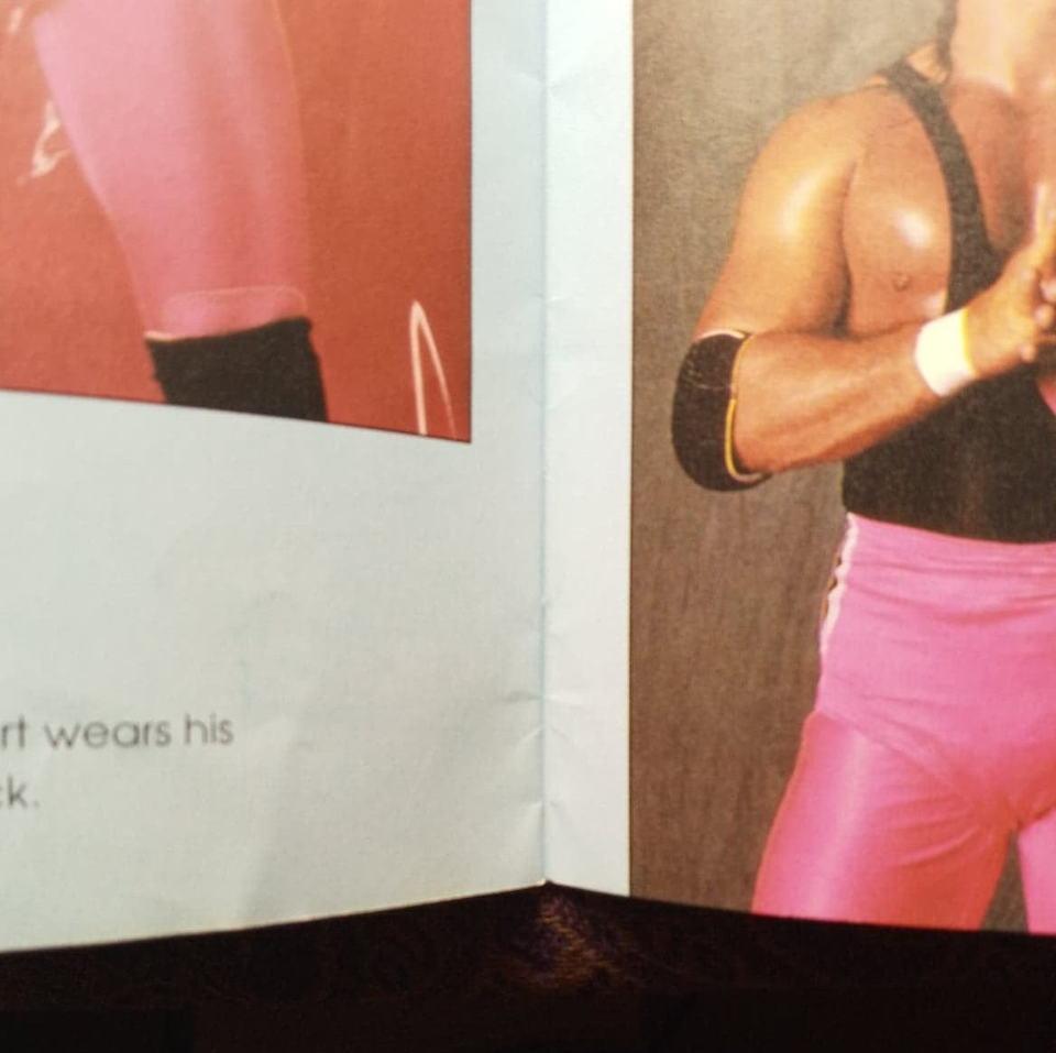 Vintage WWF All About WWF Superstars Fact Book 1991 | eBay