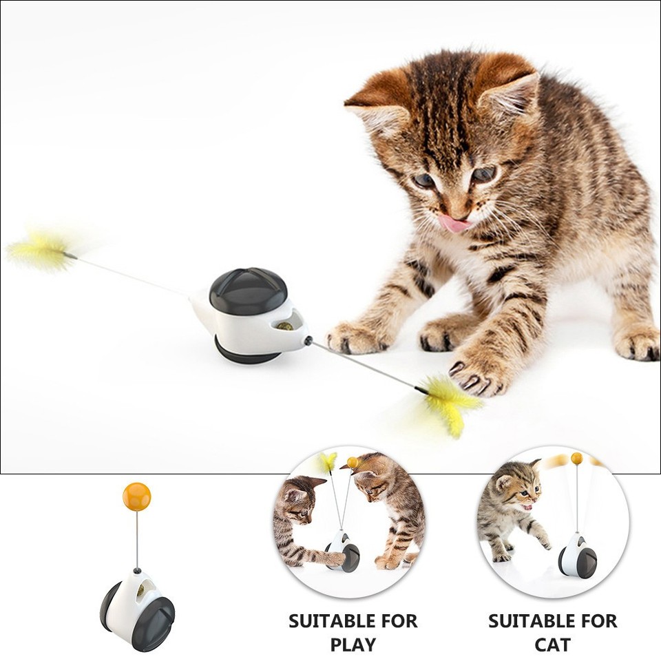 2pcs Cat Toy Balance Swing Car Cat Teaser Toy Interactive Toy with ...