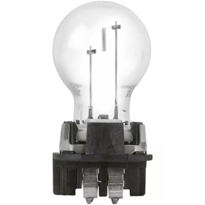 Daylight Bulb PW16W 12177C1 12V Philips | 12V | Halogen | 16W | 1-5 ...