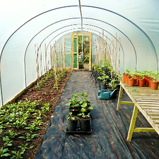 Premier Polytunnels Ltd | eBay UK Stores