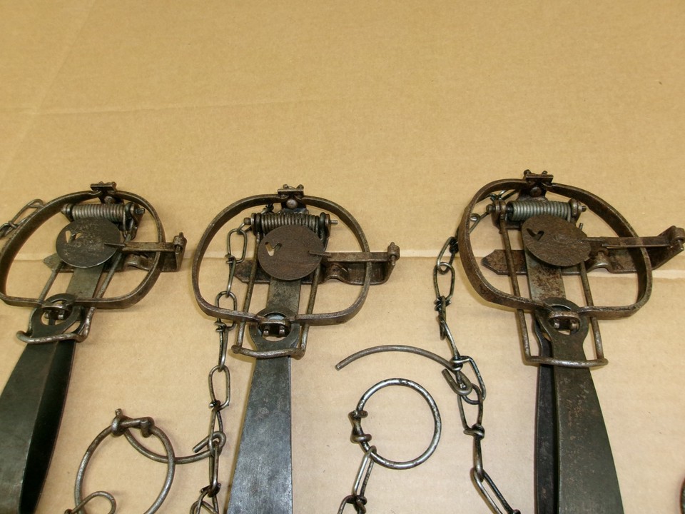 6) Victor No.1 Single Long Spring Stop Loss traps, Great Condition! | eBay