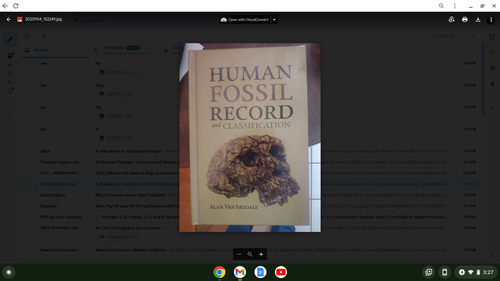 2020 Human Fossil Record and Classification paleoanthropology | eBay