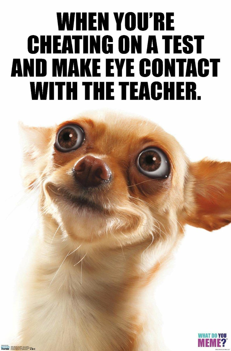 You Meme WHAT DO YOU MEME – Games World