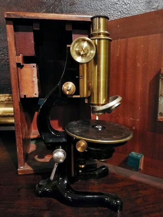 Old Large Brass Microscope with Original Wood Box Italy Early 20th ...