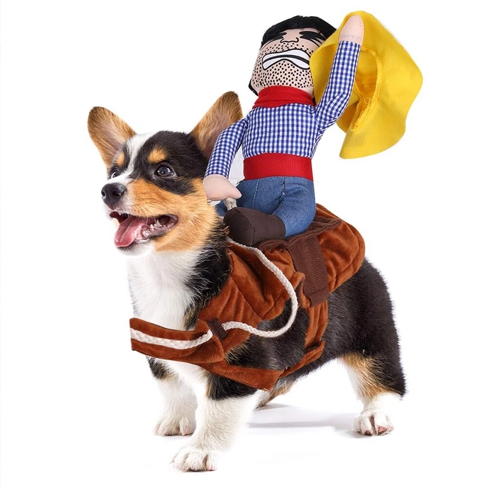 Funny Corgi Costume