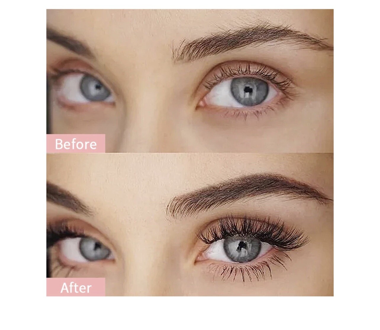 ICONSIGN Professional Tinting Eyelash & Eyebrow Dye Tint Lash Kit - All ...