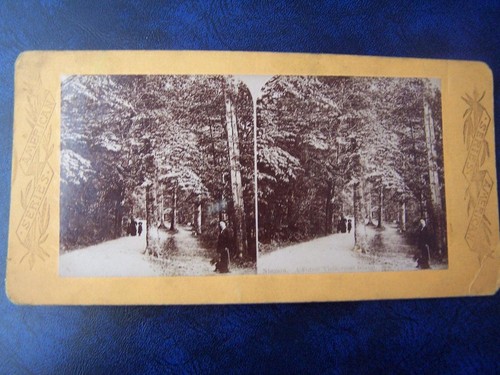 Stereo View Stereo Card - Niagara | eBay UK