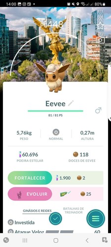 Eevee explorer hat - MEXICO BACKGROUND - event pokemon GO | eBay