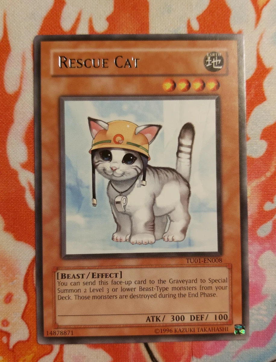 Yugioh Rescue Cat