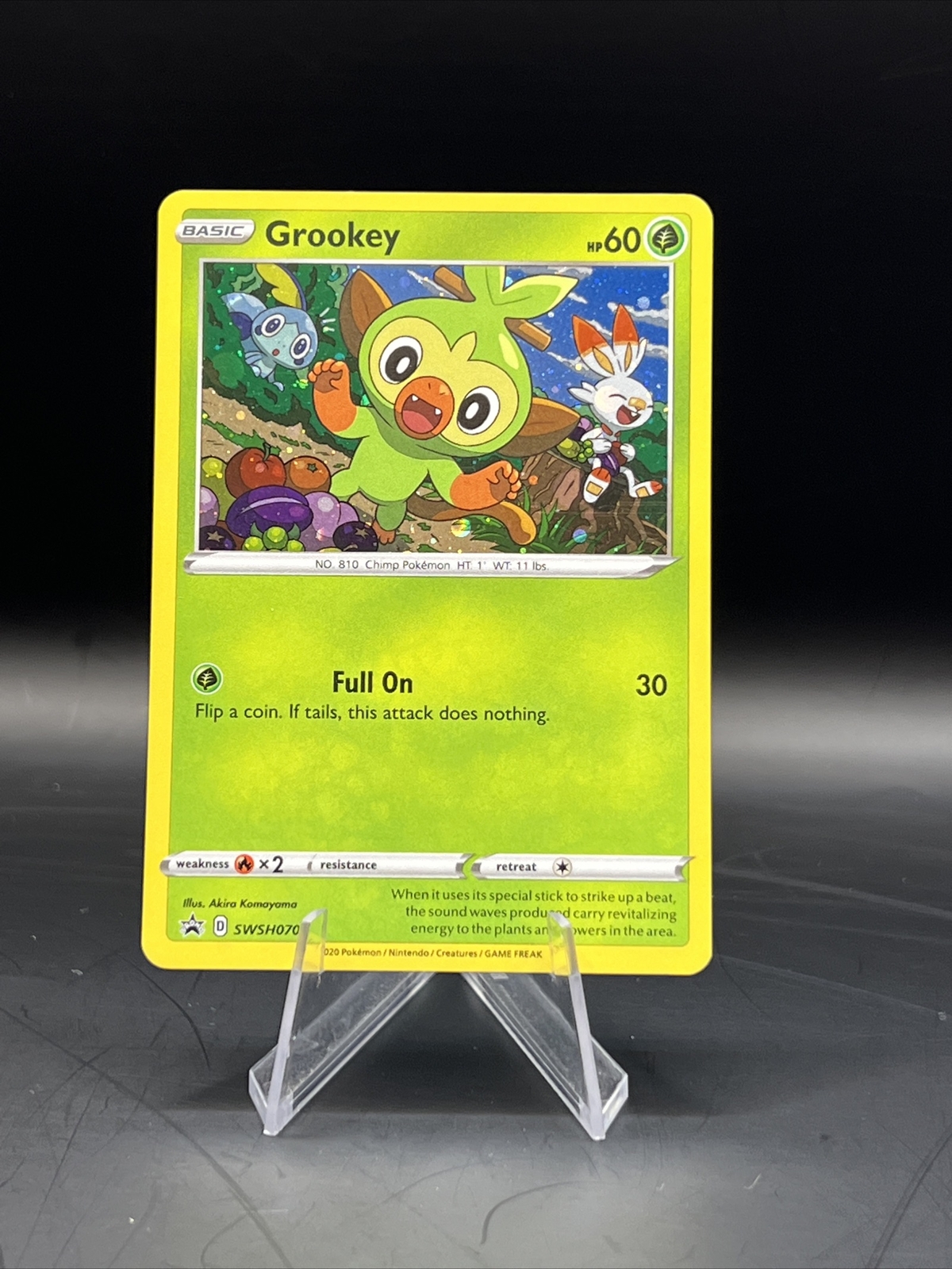 Pokemon Card SWSH070 Black Star Promo Holo Grookey Near Mint - Mint | eBay