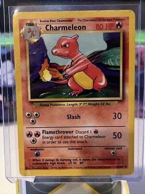 Pokémon TCG Charmeleon Base Set 24/102 Regular Unlimited Uncommon HP | eBay