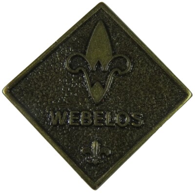 Weblos Cub Scout Boy Scout Hat Pin (PIN-4385) | eBay
