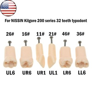 Dent-inus | eBay Stores