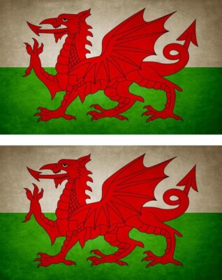 2X Vintage Distressed Flag Sticker CYMRU Wales | eBay