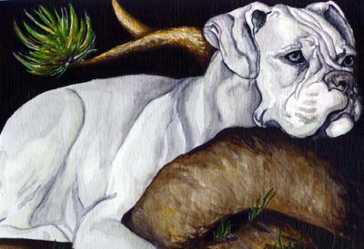 13x19 BOXER WHITE Ghost Dog Art PRINT of Painting VERN | eBay
