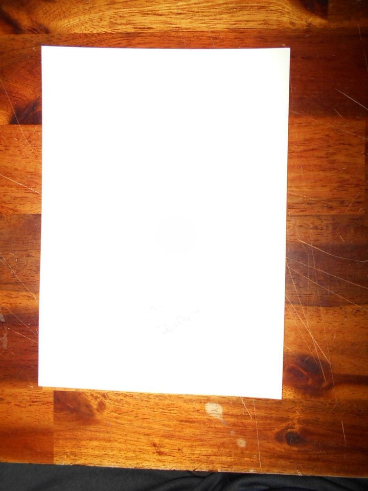 Bodybuilder DAVID WILSON muscle bodybuilding ORIGINAL photo 5" X 7" | eBay