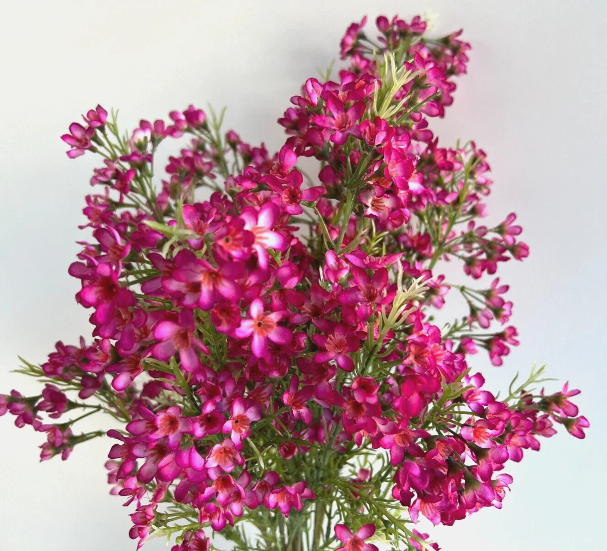 Pink Wax Flower Bouquet
