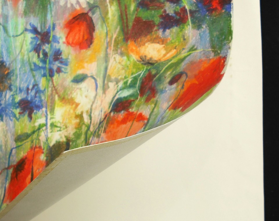 Annie Feve fleurs marguerites et coquelicots daisies & poppies flowers ...