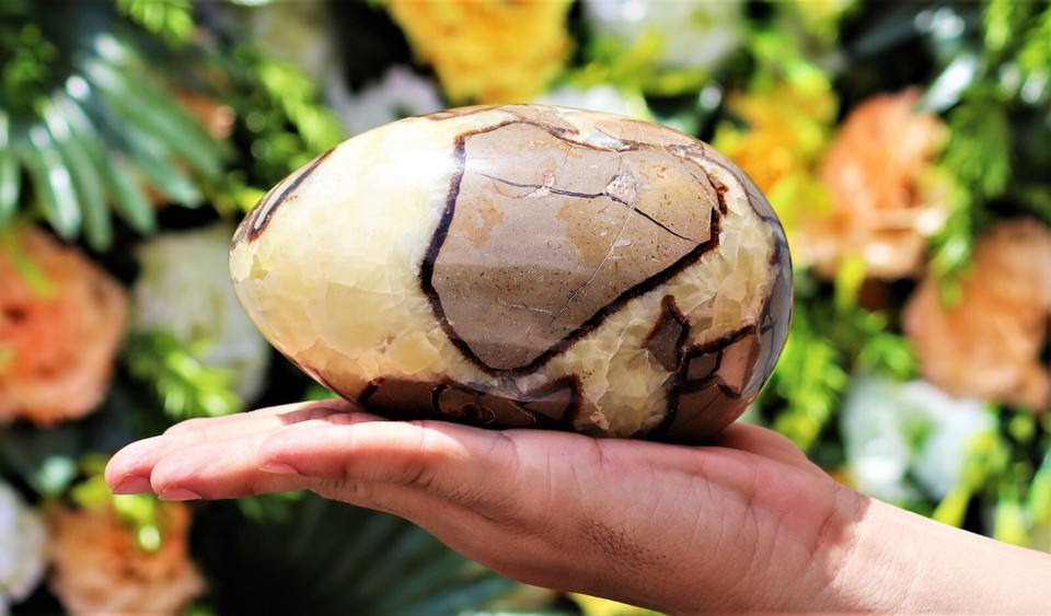 135MM Yellow Septarian Egg Septaria Septeyre Chakra Crystal Healing Gemstone Egg | eBay
