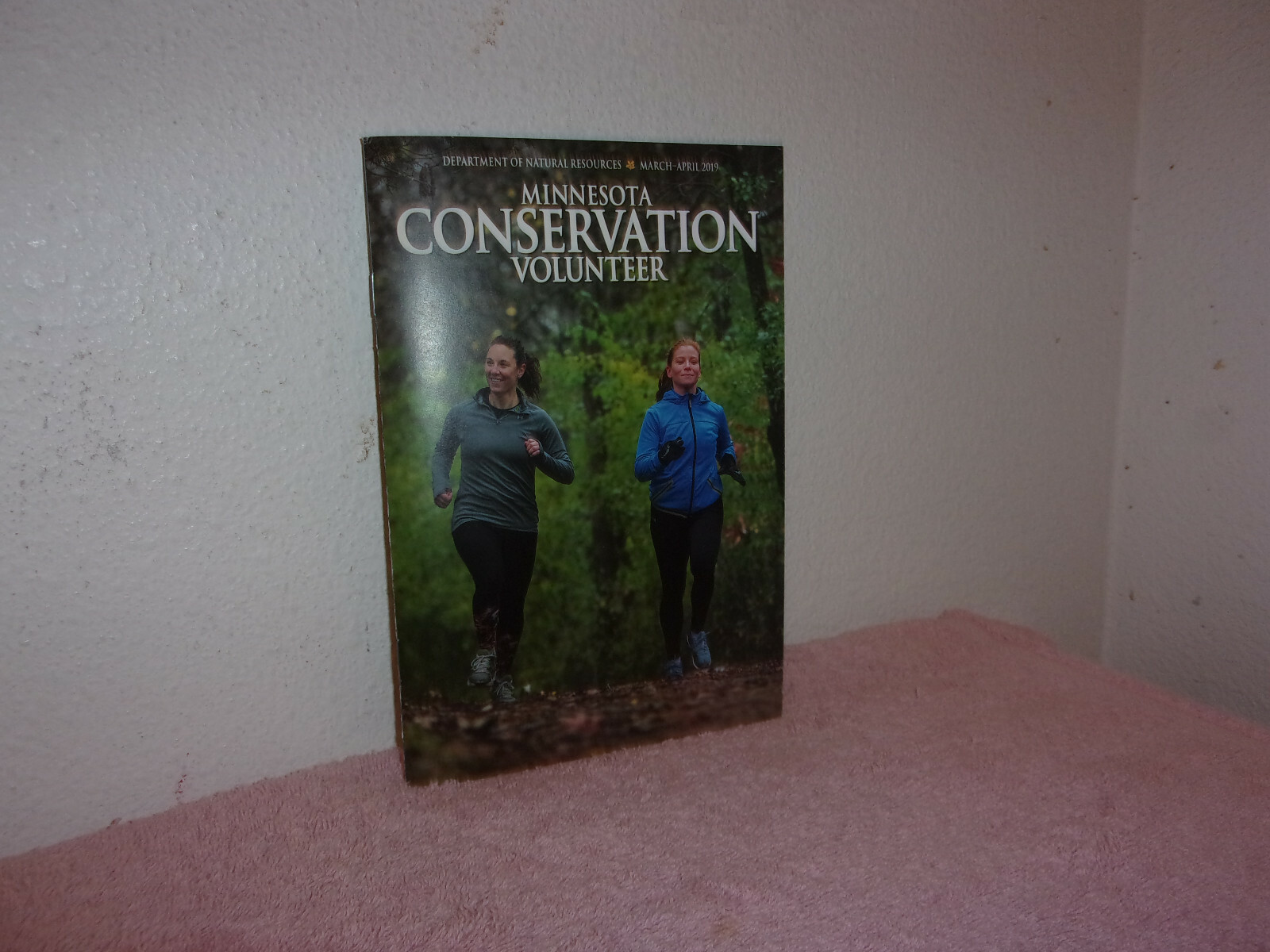 MINNESOTA CONSERVATION VOLUNTEER MAGAZINE."SHORE BIRDS " MARCH / APRIL ...