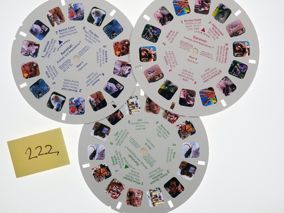 View-master 3 reel sets Disney Discovery Channel Natures Animals you ...