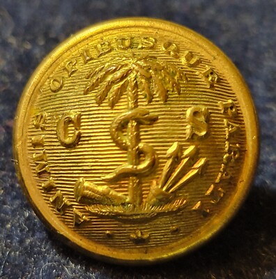 CIVIL WAR ERA CONFEDERATE SOUTH CAROLINA PALMETTO GUARD BUTTON ALBERT ...