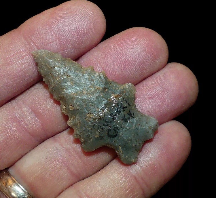 authentic arrowheads pre 1600 Awesome Serrated Stemmed Kirk Point ...