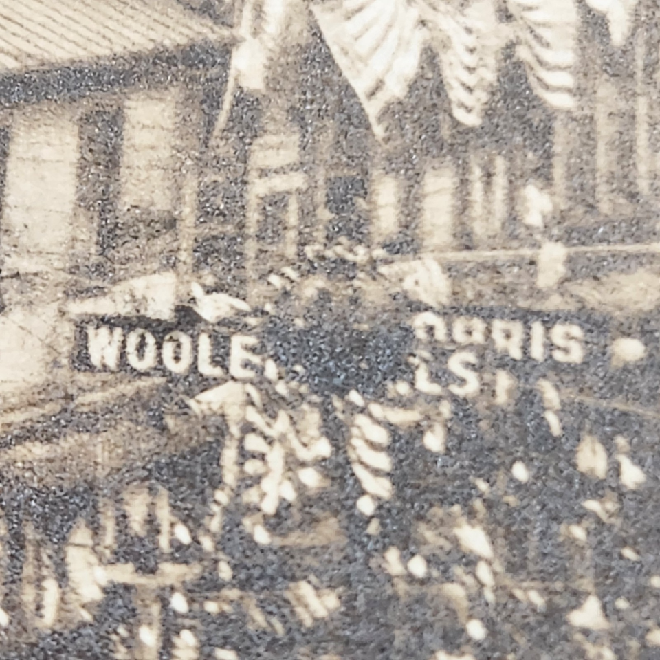 VTG Parade Photo Red Cross Pharmacy Coca-Cola Dept Store Patriotic ...