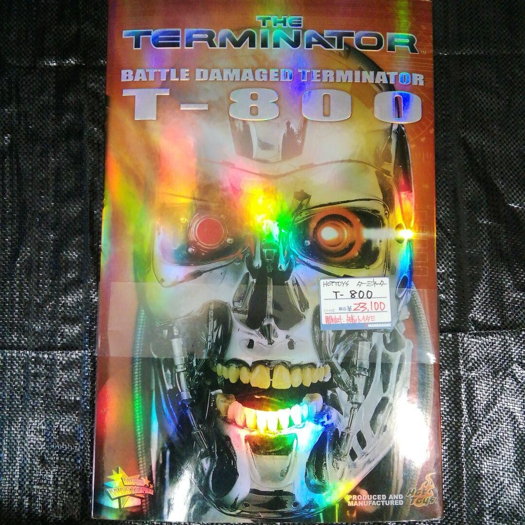 Hot Toys The Terminator Battle Damaged Terminator T-800 MMS02 1/6 Scale ...