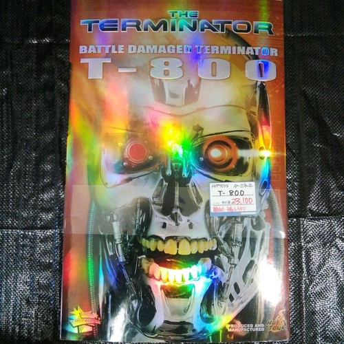 Hot Toys The Terminator Battle Damaged Terminator T-800 MMS02 1/6 Scale ...