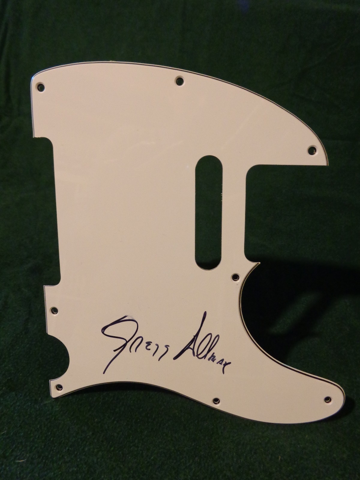 Gregg Allman "The Allman Brothers" Signed Autographed Pickguard A | eBay