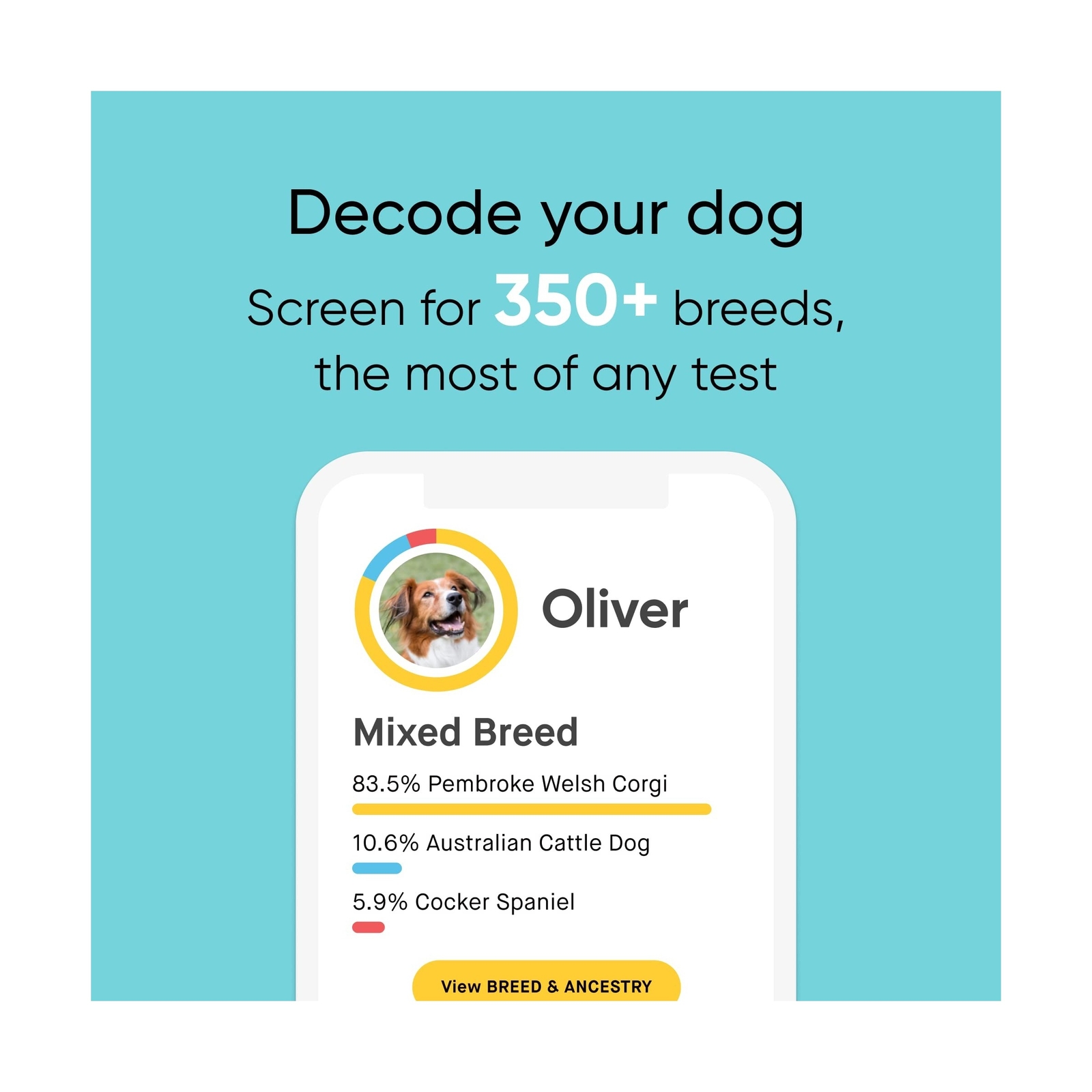 Embark Breed Identification Kit | Most Accurate Dog DNA Test | Test 350 ...