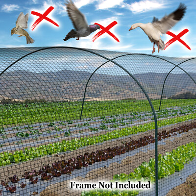 Multi-size Anti Bird Netting Bird Barrier Poultry Aviary Net Pens 2 ...