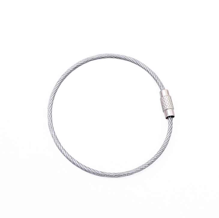 10Pcs Wire Rope Key Chain Stainless Steel Wire Keychain Carabiner Cable ...