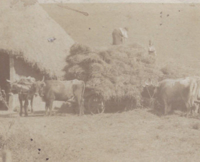 1890s CABINET CARD PHOTO PAIR EASTERN EUROPEAN? FARM LIFE VIEWS | eBay
