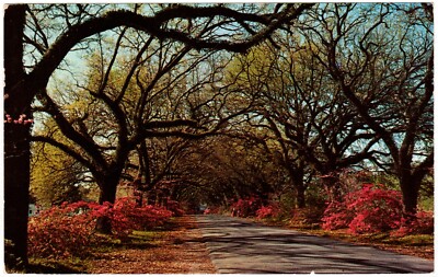 Postcard - Entrance, Spring Hill College - Mobile, Alabama - Posted ...